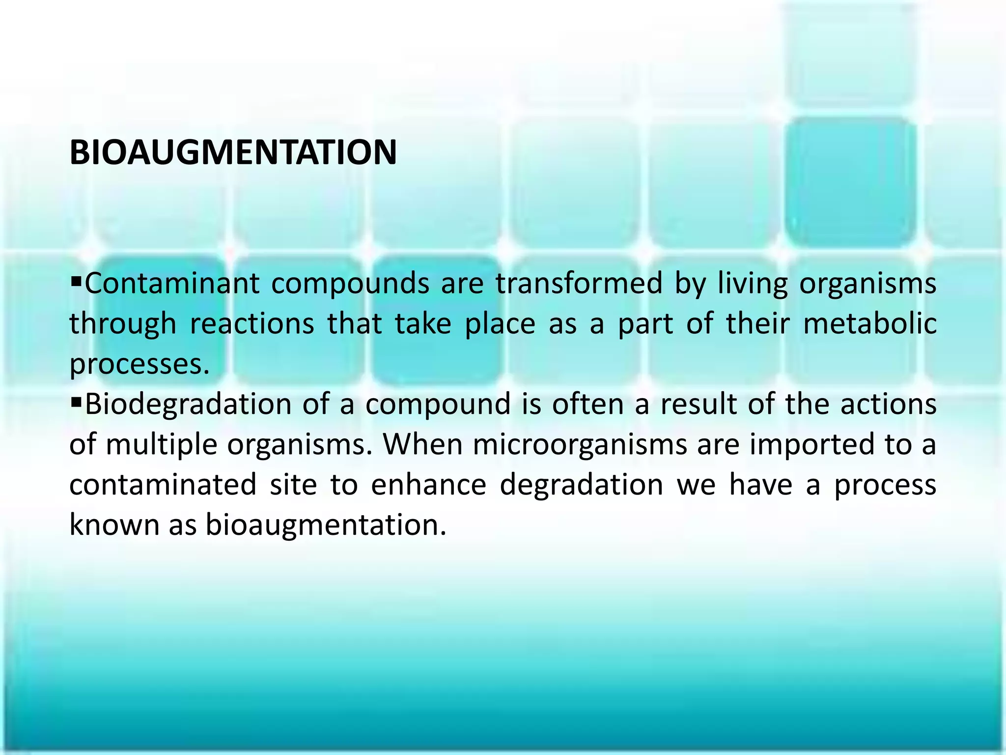 Environmental microbiology | PPTX