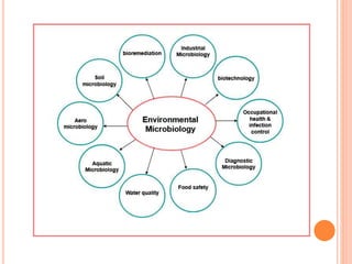 Environmental Microbiology (Different areas) | PPT