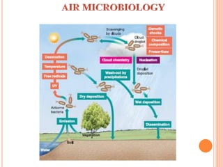 Environmental Microbiology (Different areas) | PPT