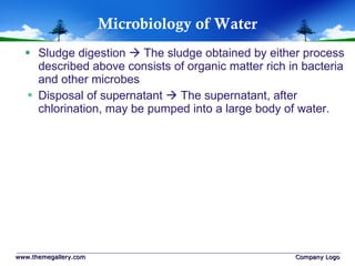 Environmental microbiology 2009 | PPT