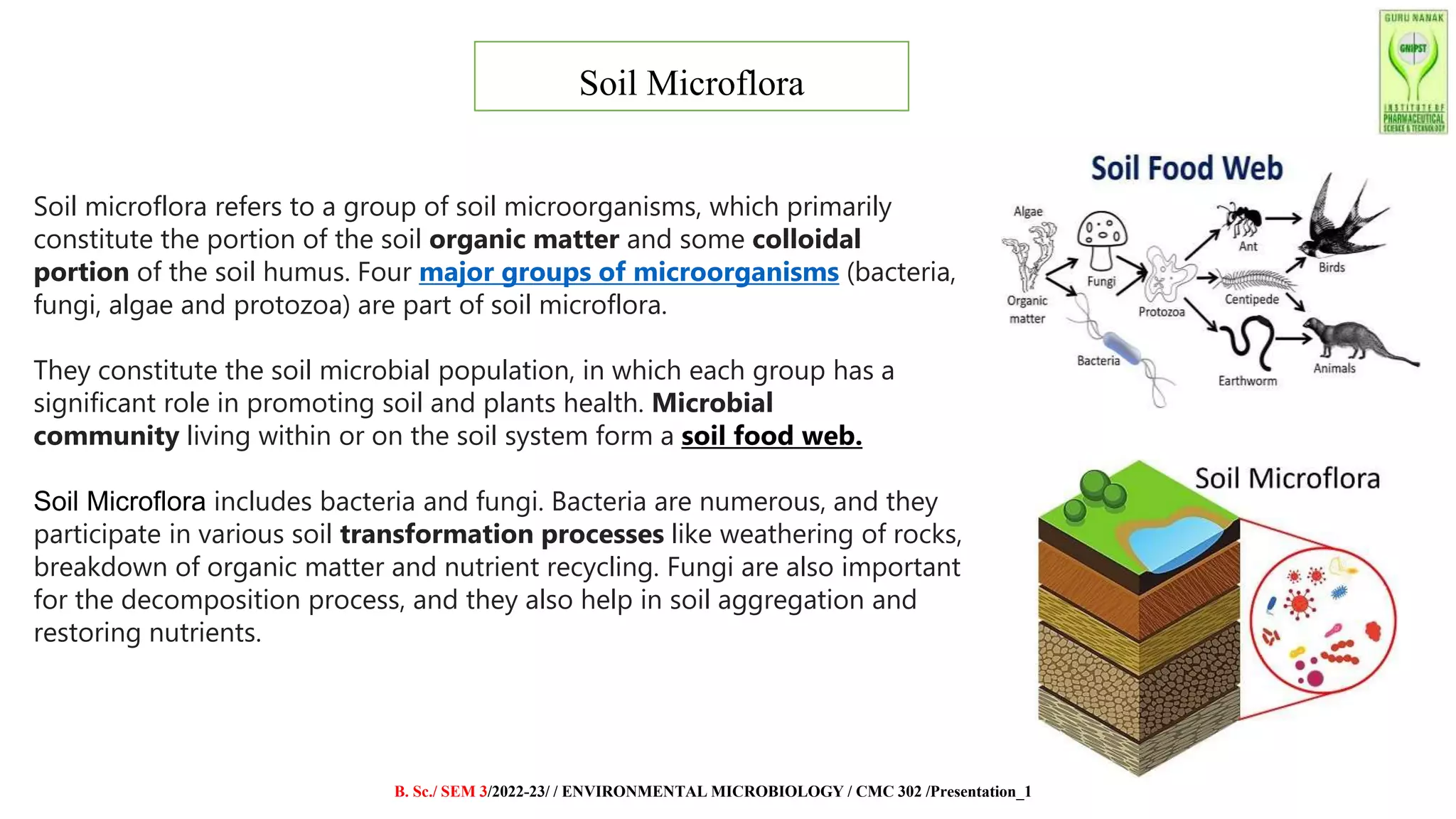 environmental microbiology ppt.pptx