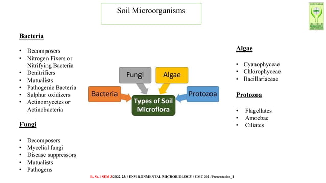 environmental microbiology ppt.pptx