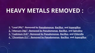Microorganisms in abatement of heavy metal pollution -Environmental ...