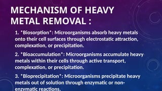 Microorganisms in abatement of heavy metal pollution -Environmental ...