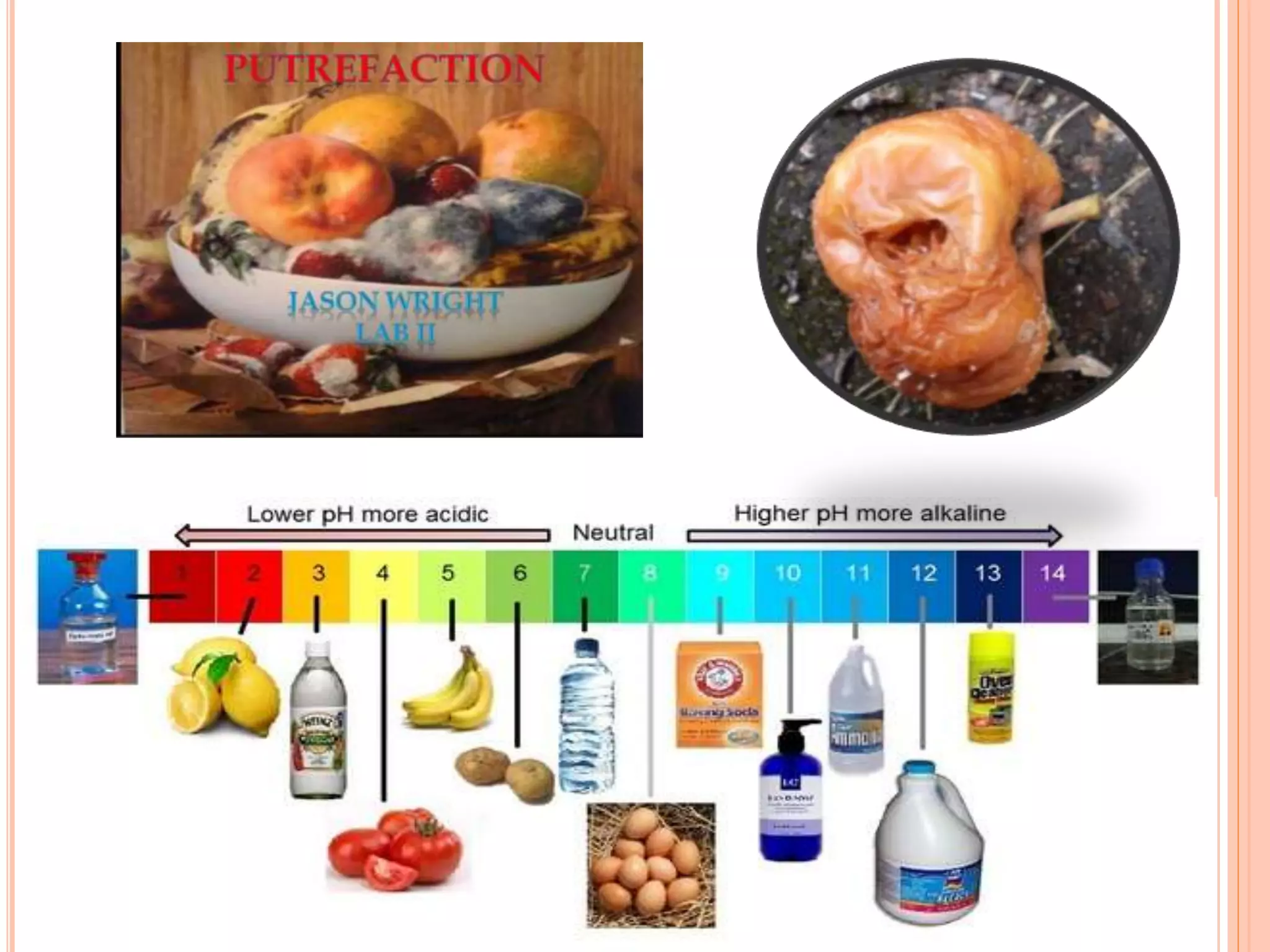 Role of Microorganisms in Preparation of Certain Foods, in Spoilage of ...
