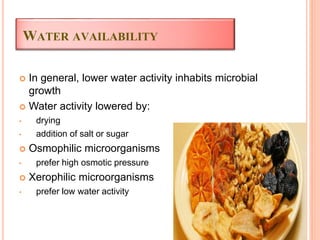 Role of Microorganisms in Preparation of Certain Foods, in Spoilage of ...