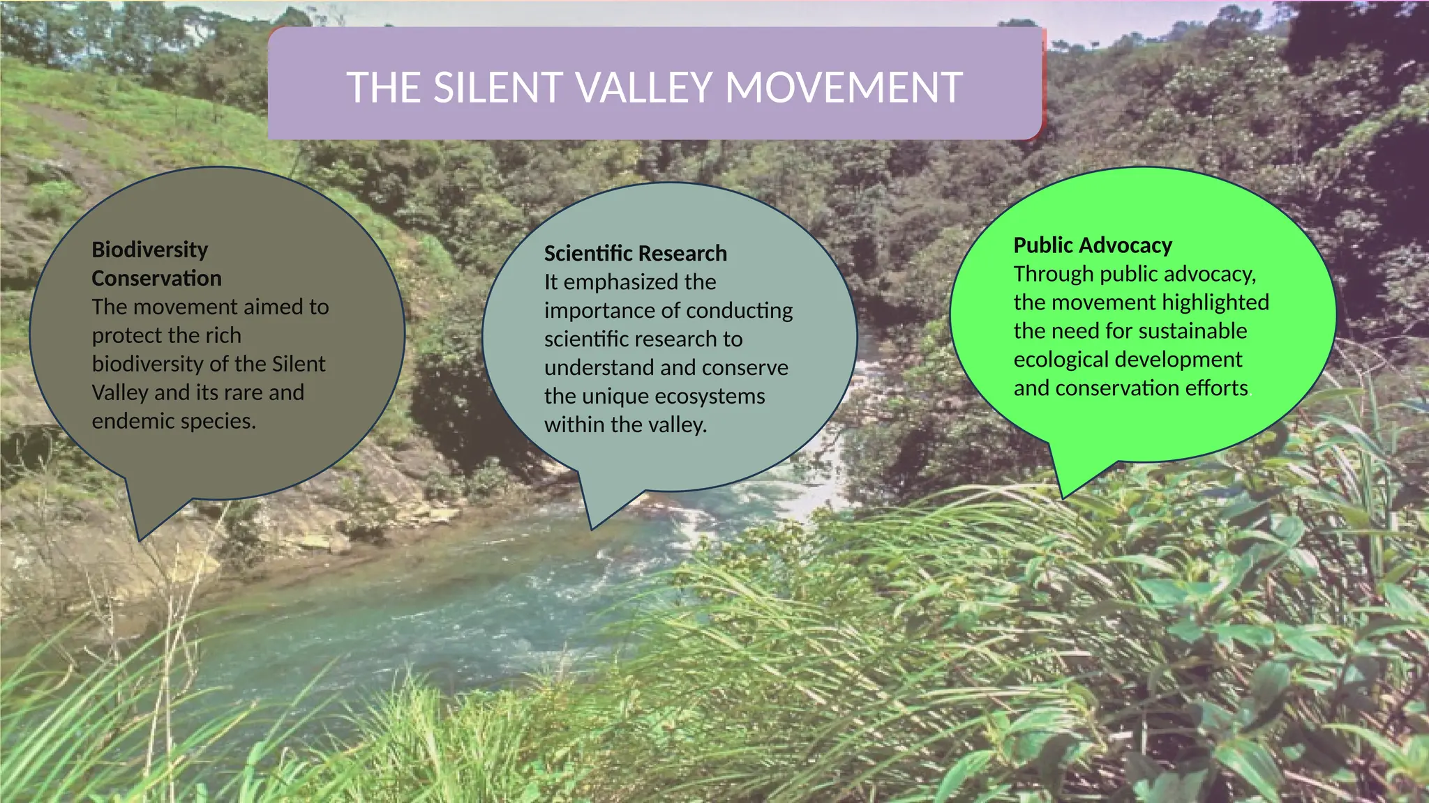 ENVIRONMENTAL MOVEMENTS IN INDIA PPT.pptx