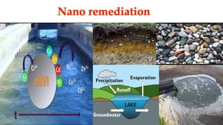 ENVIRONMENTAL NANOTECHNOLOGY | PDF