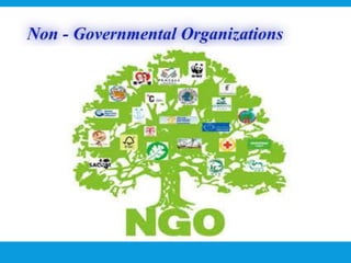 Non Governmental Environmental Organization