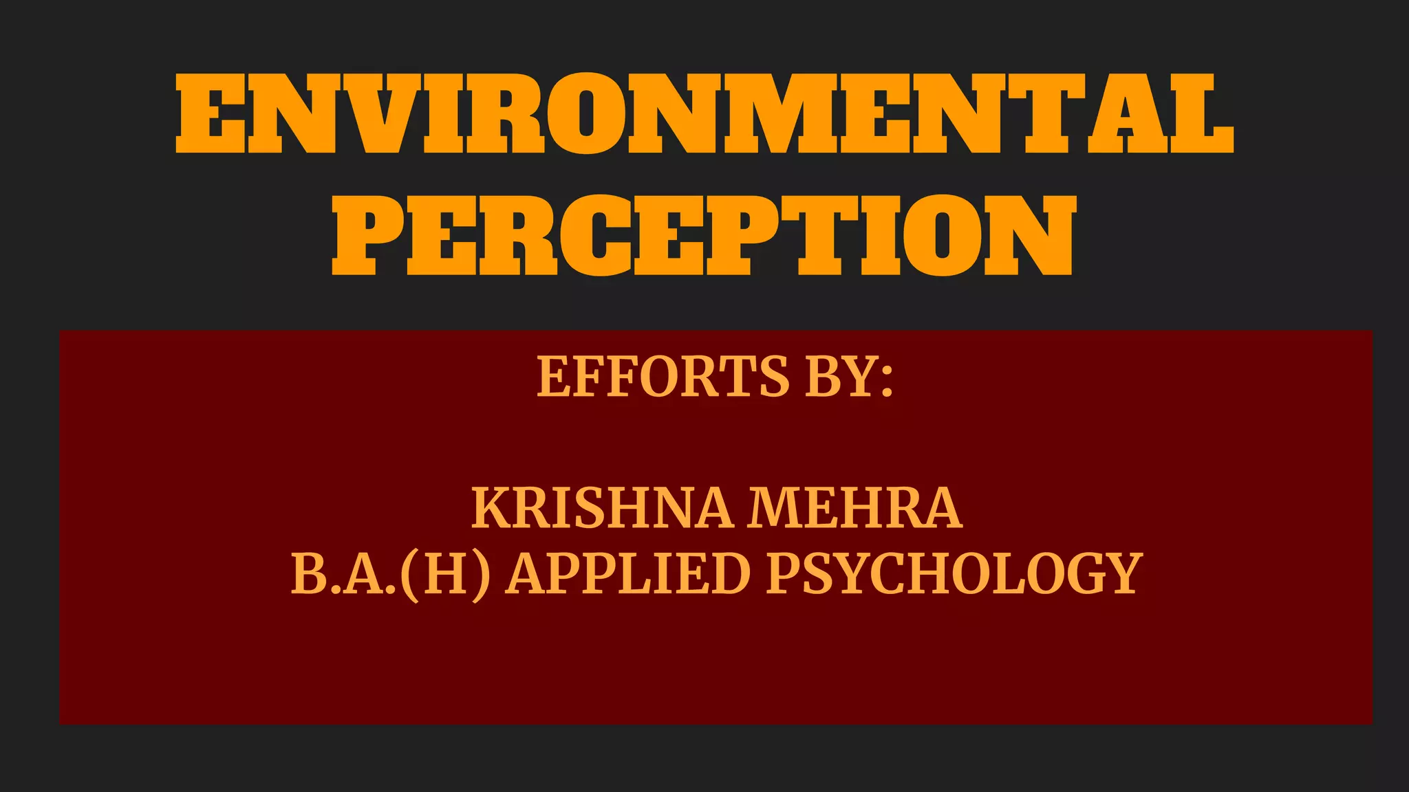 Environmental Perception | PPTX