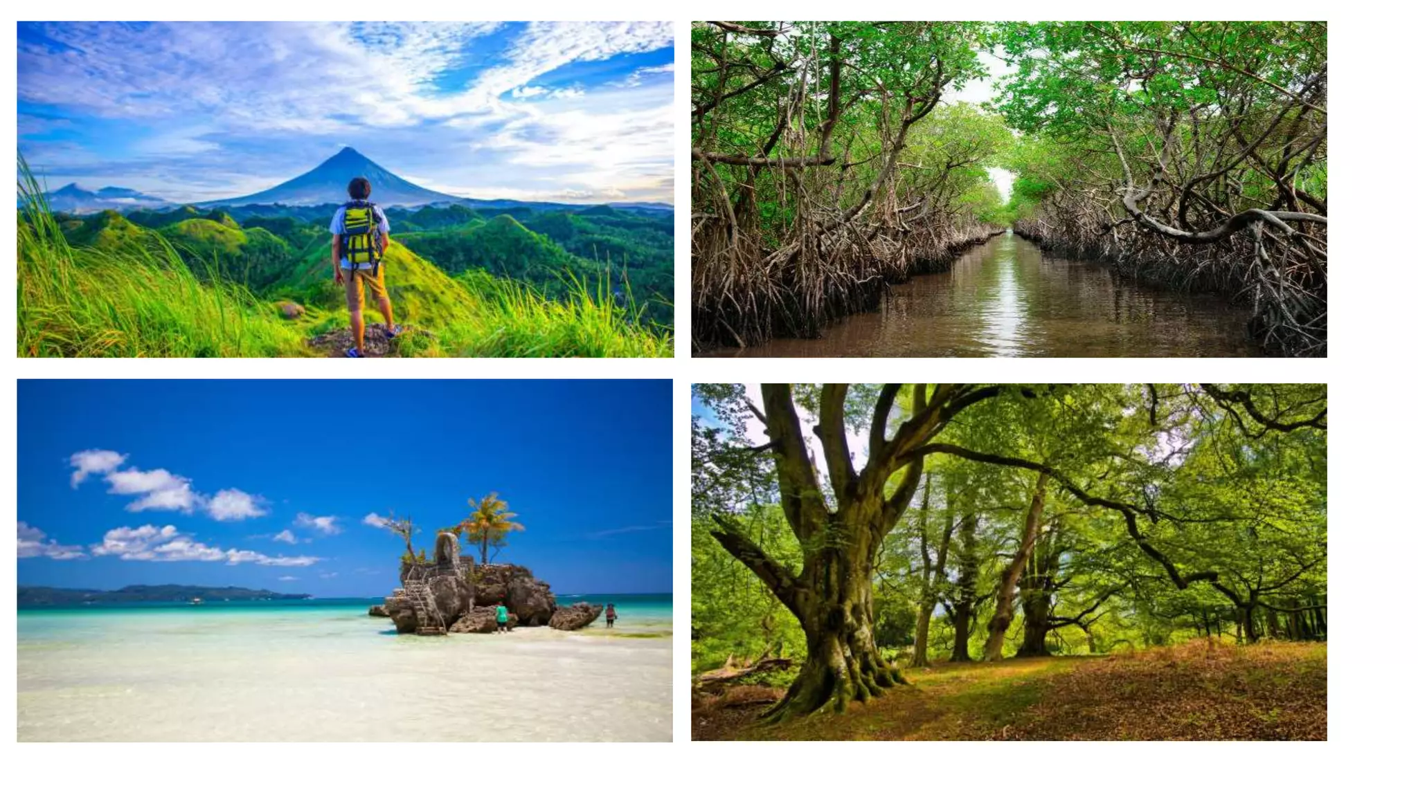 Environmental Philosophy.pptx