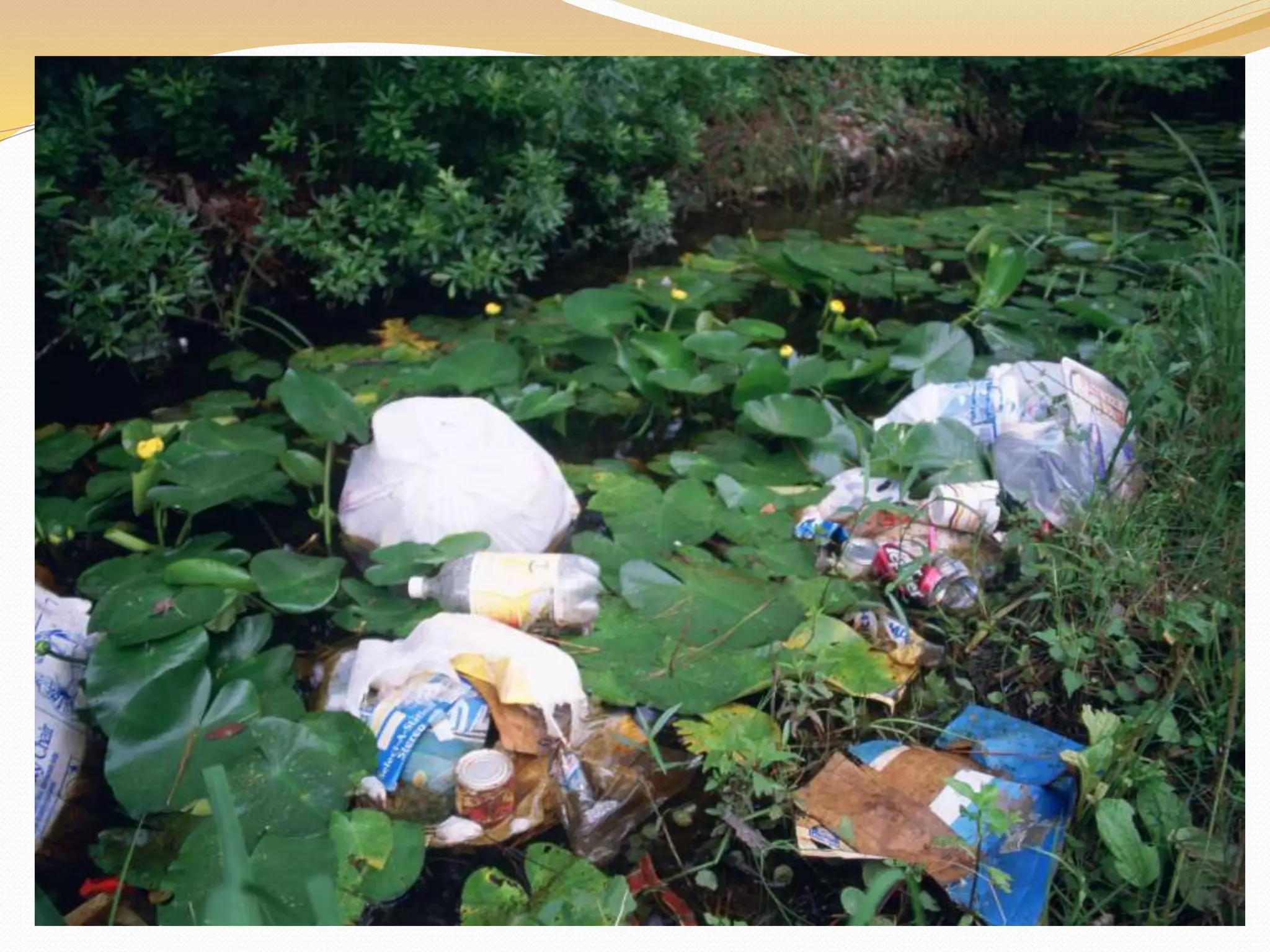 Environmental Philosophy and Environmental Aesthetics ppt..pptx