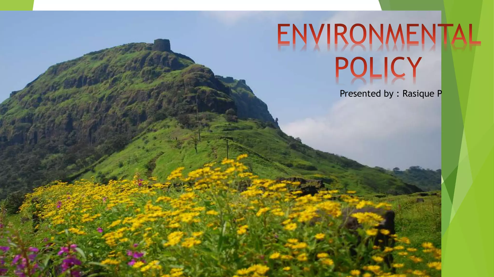 Environmental policy | PPTX