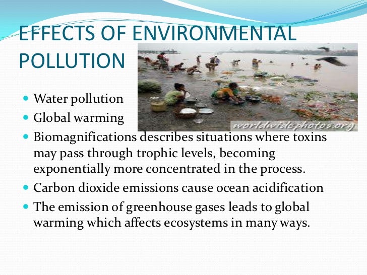 Effects Of Water Pollution On Humans And Environment