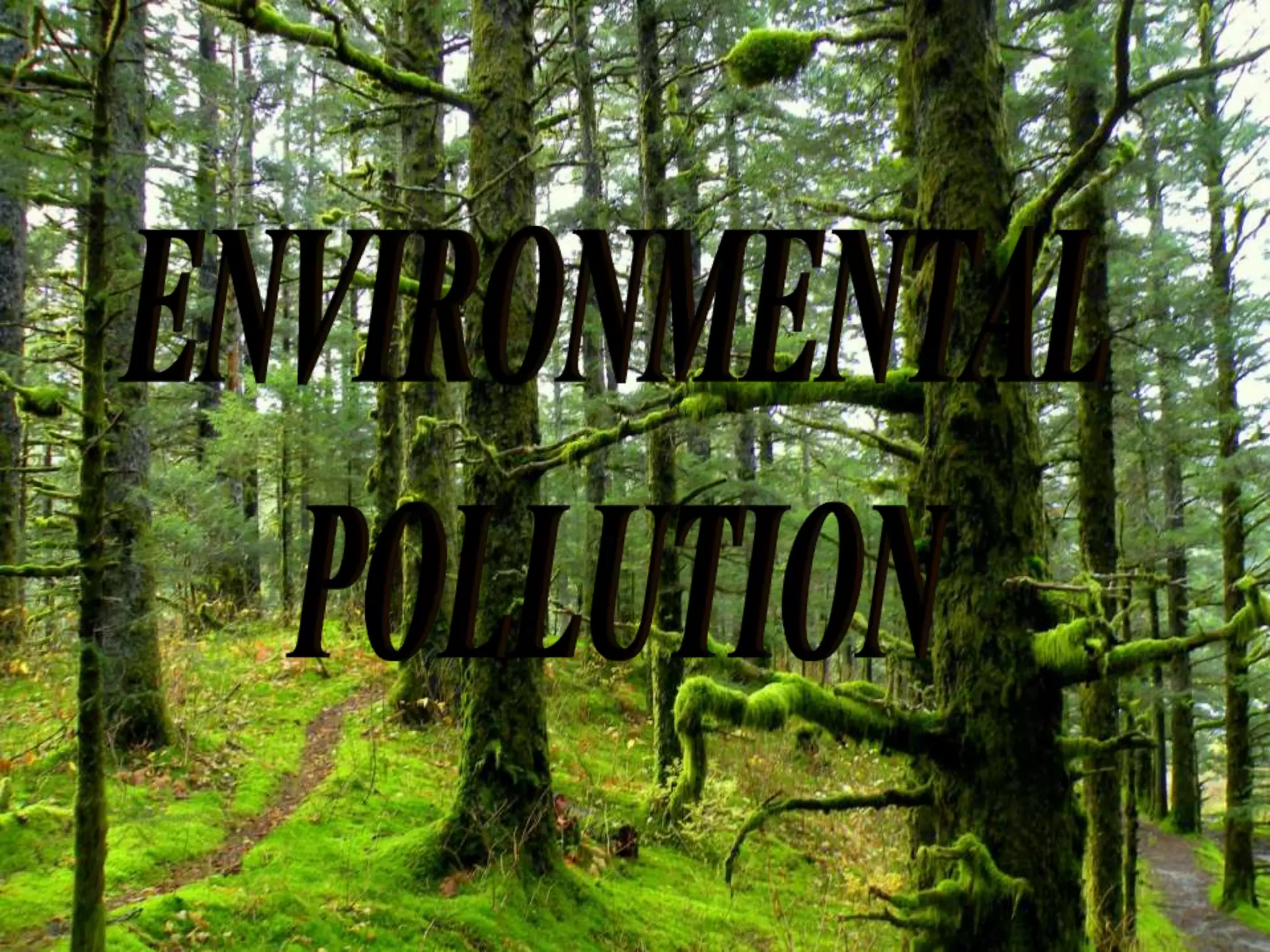Environmental pollution | PPTX