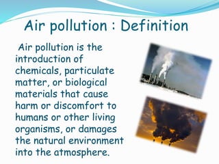 Environmental pollution | PPTX