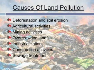 Effects Of Land Pollution On The Environment