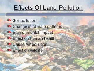 Effects Of Land Pollution On The Environment