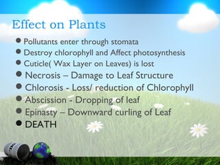 Environmental pollution | PPT