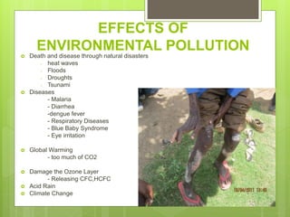 Environmental pollution | PPT