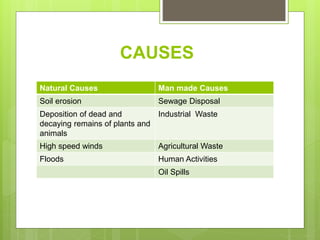 Environmental pollution | PPTX
