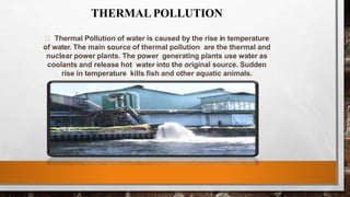 Environmental pollution | PPTX