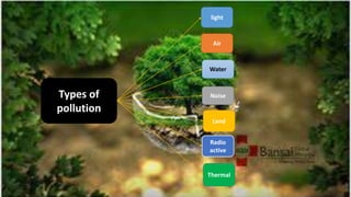 Environmental pollution | PPTX