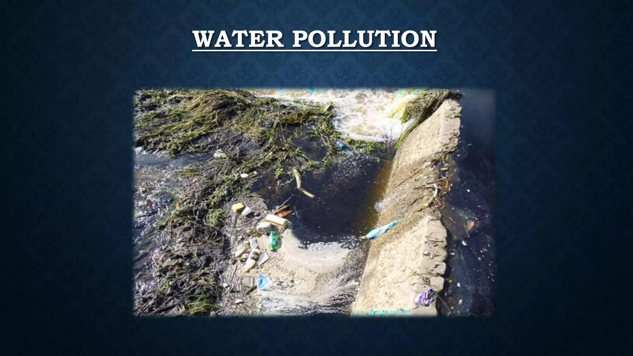 Environmental pollution | PPT