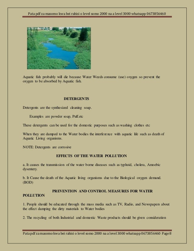 Environmental pollution | DOCX