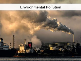 Environmental Pollution.pptx