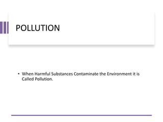 Environmental Pollution.pptx