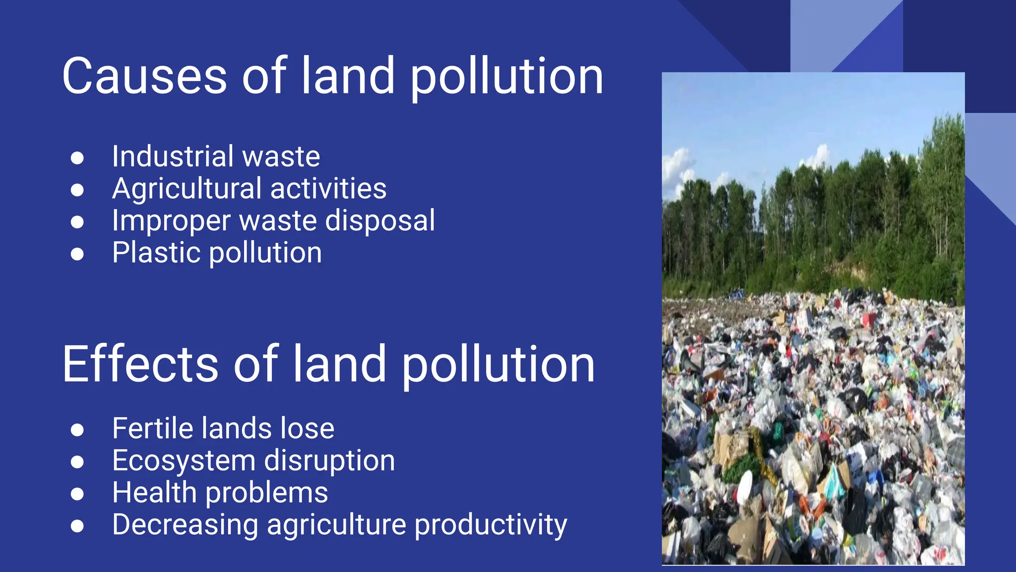 Environmental pollution is the largest issue of the world | PDF