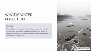 Environmental Pollution – Causes, Effects, and Solutions | PDF