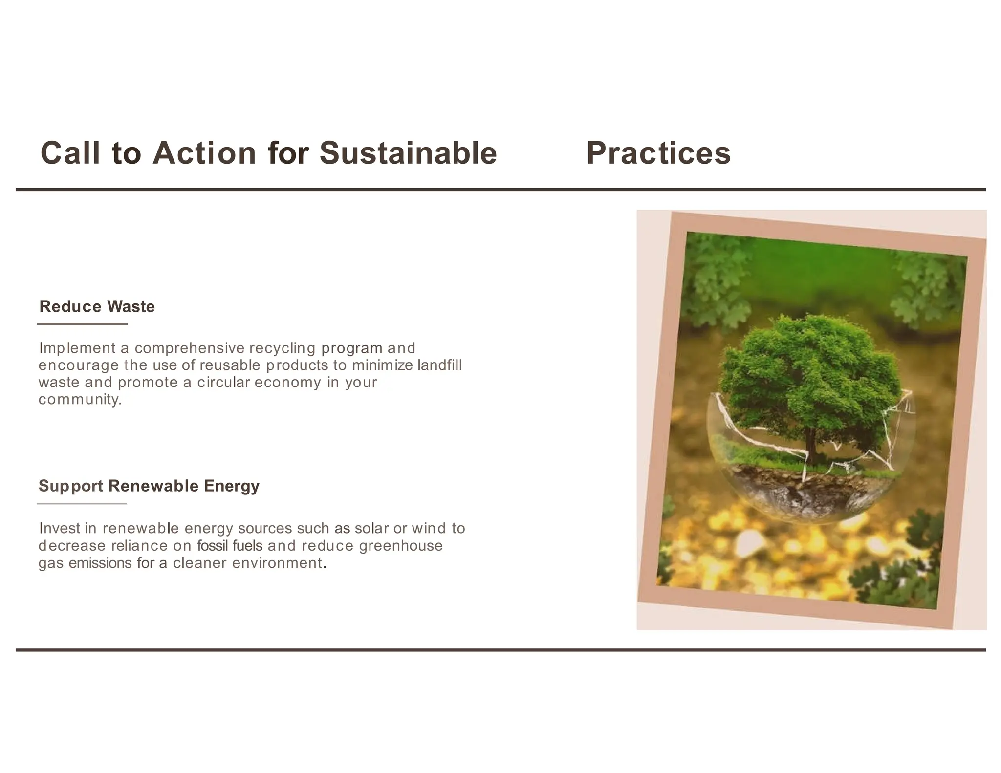 Environtal project study science of environment.pptx