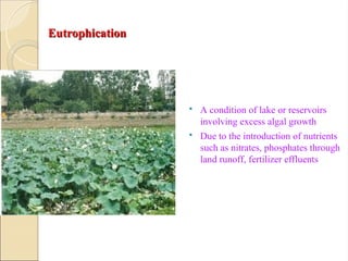 Environmental (air water and soil )Pollution.ppt