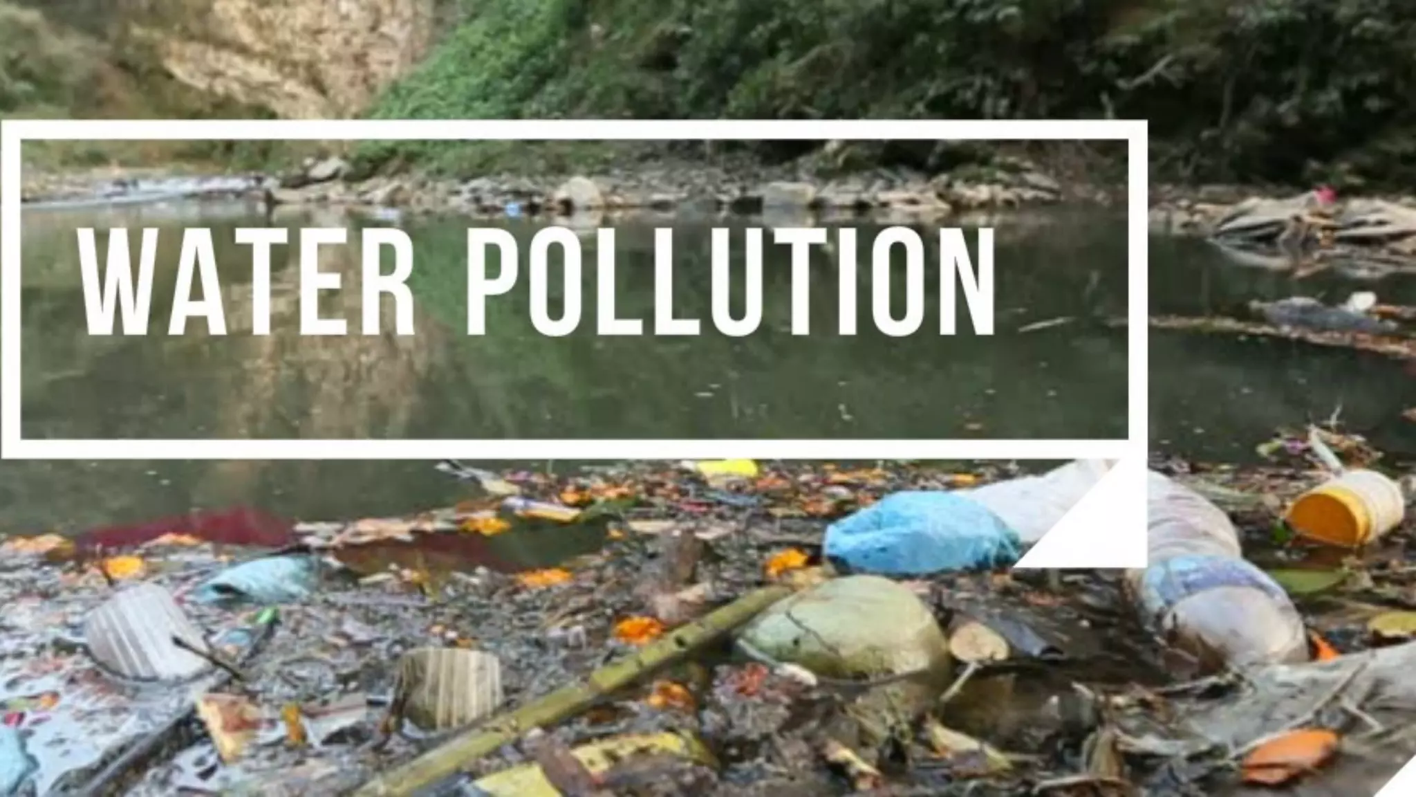 ENVIRONMENTAL POLLUTION (1).pdf