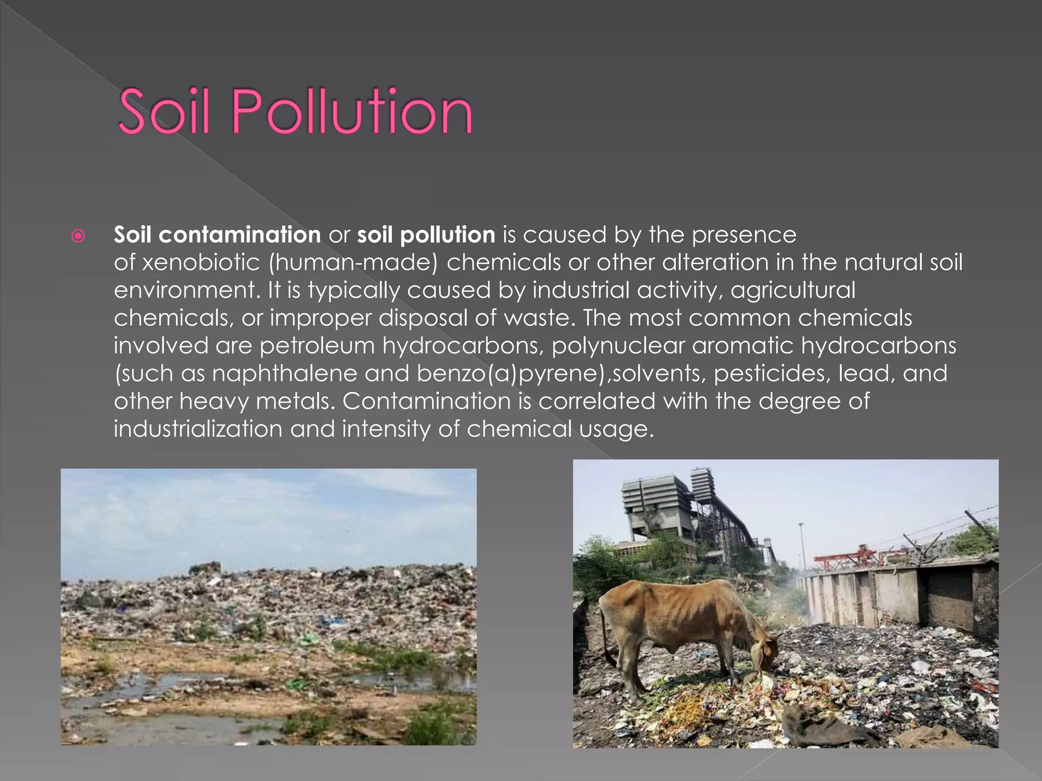 Environmental pollution and immune system | PPT