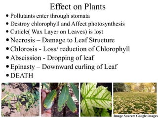 Environmental pollution & global warming | PPT
