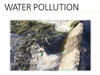 environmental_pollution PROJECT.pptx