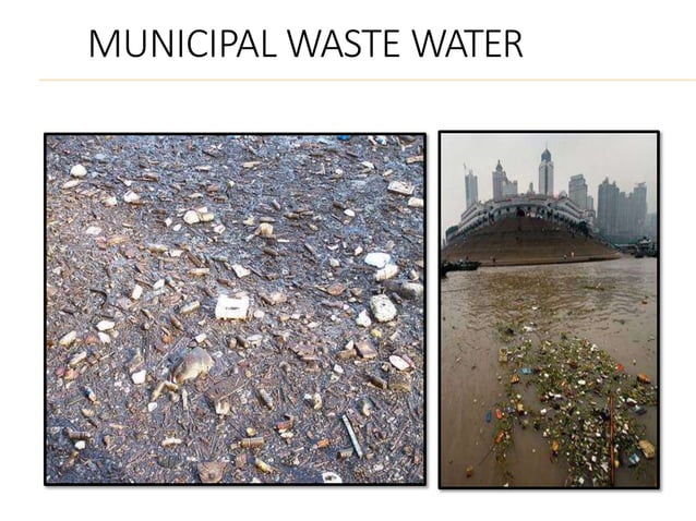 environmental_pollution PROJECT.pptx