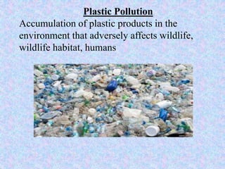 Environmental pollution | PPTX