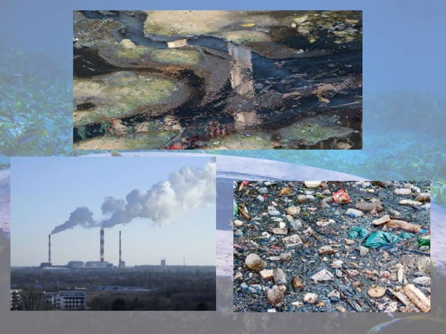 Environmental pollution Group 6 | PPT