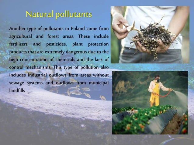 Environmental pollution Group 6 | PPT