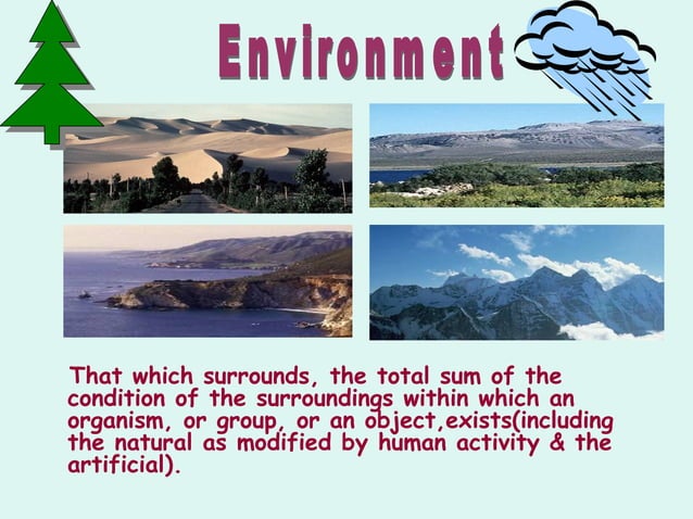Environmental pollution vinay. | PPT