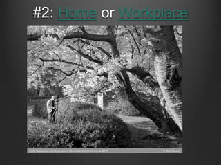 Environmental portrait | PPTX