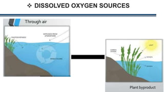 oxygen consuming wastes | PPTX