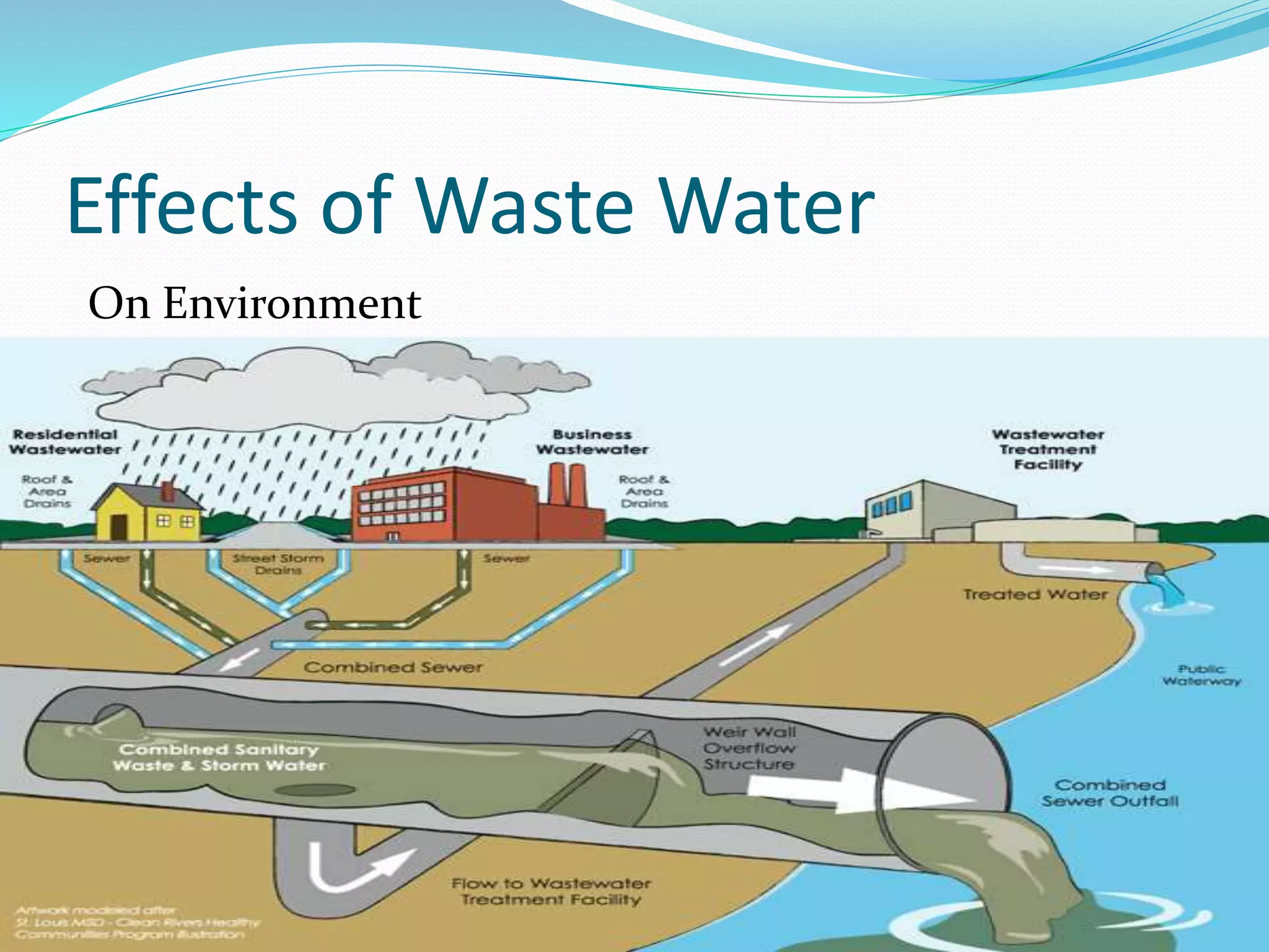 Environmental basic presentation | PPT