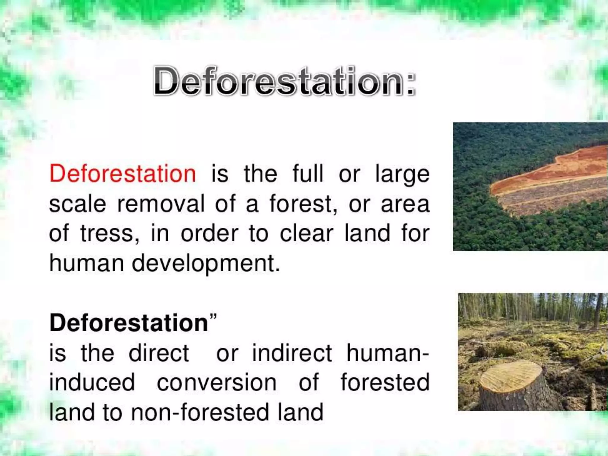 Environmental basic presentation | PPT