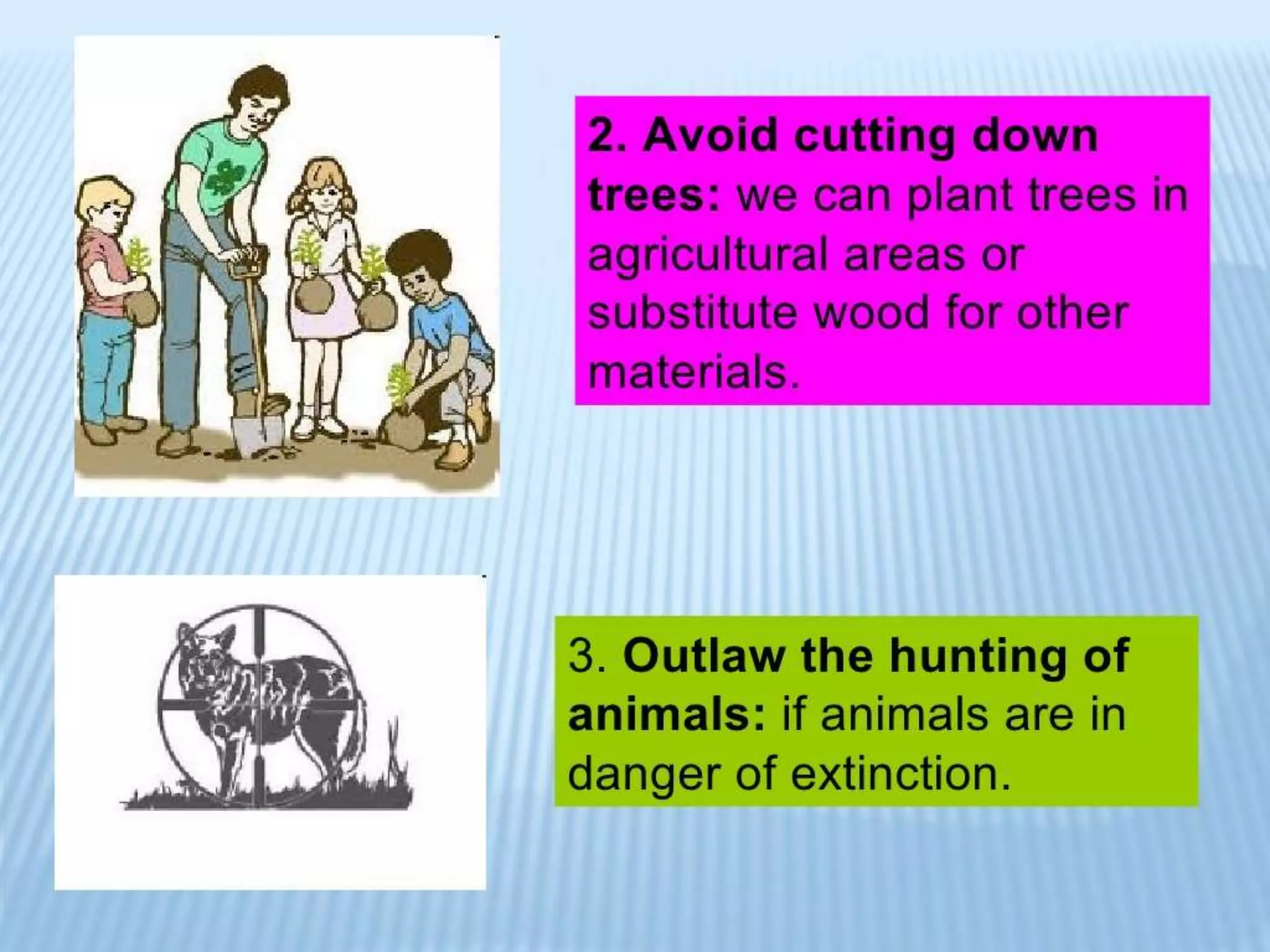Environmental basic presentation | PPT