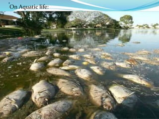 Environmental basic presentation | PPT